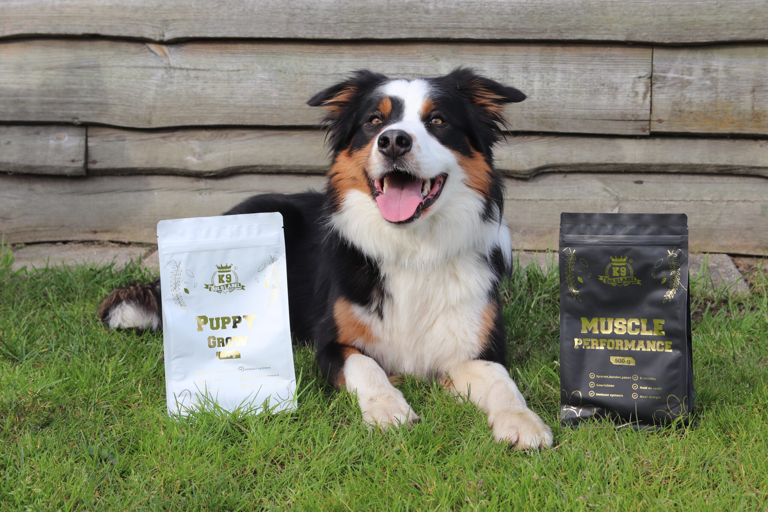 Puppy GROW 500 gram - De Honderneming